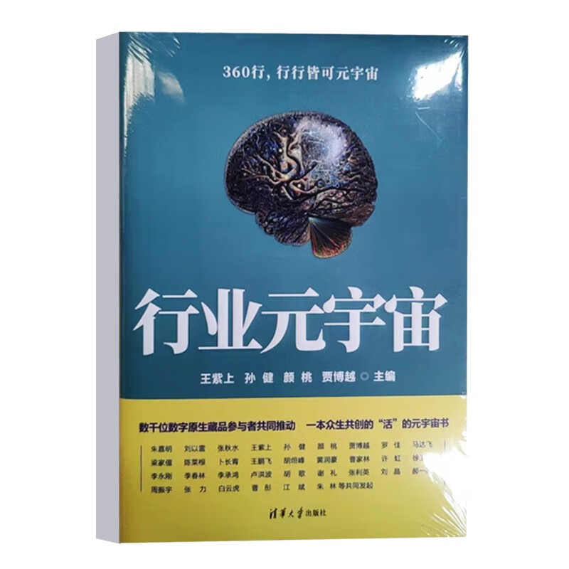 行业元宇宙 王紫上 孙健 颜桃 贾博越 主编 清华大学出版社