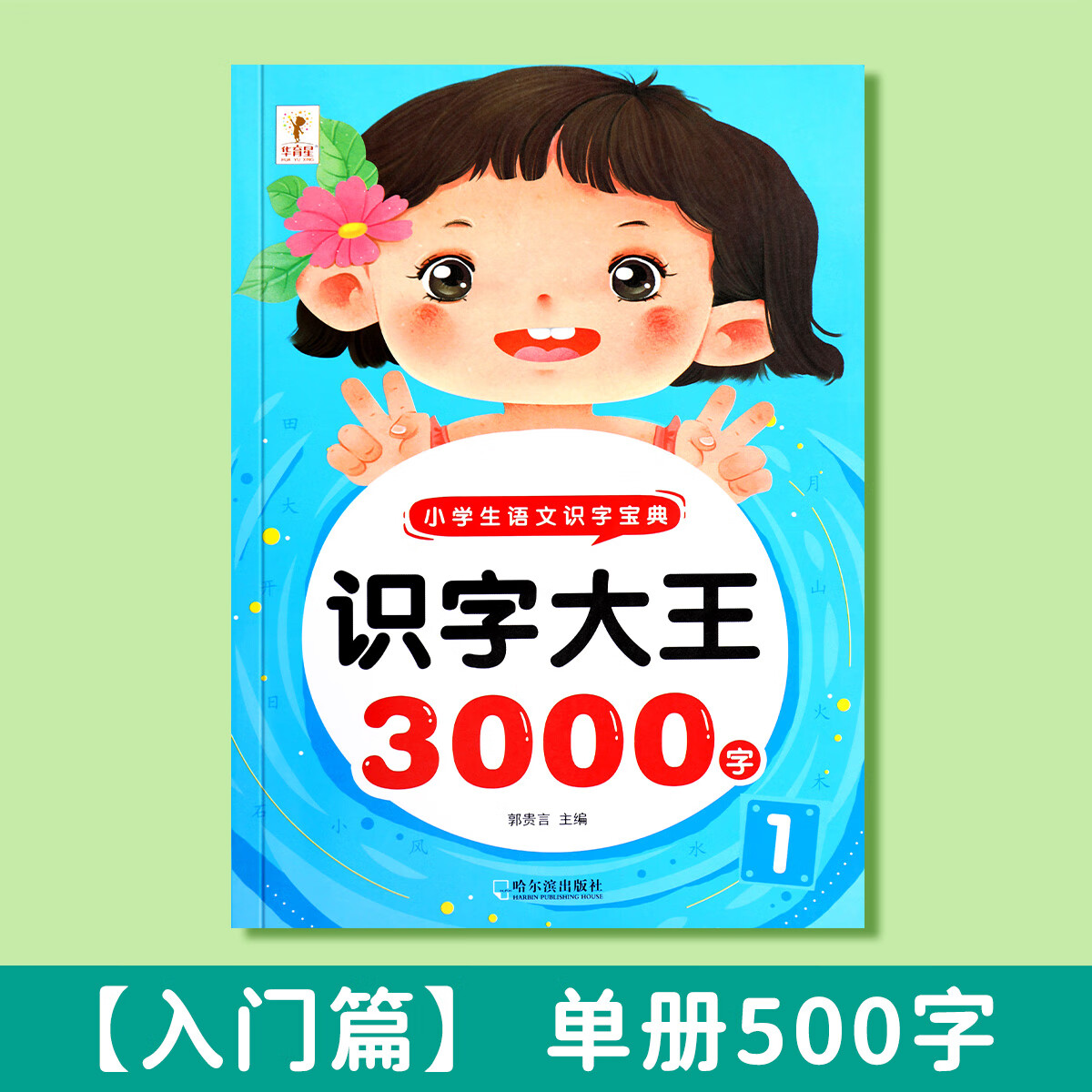 识字大王3000字儿童识字书幼儿认字早教启蒙书籍幼儿园宝宝学汉字神器大班学前班象形识字卡片幼小衔接一年级趣味看图识字教材全套 识字大王3000字 1