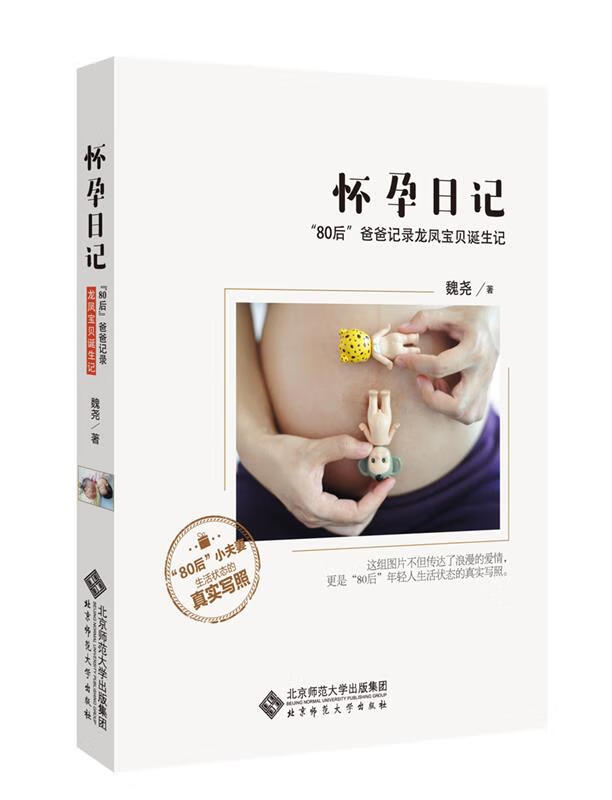 怀孕日记 魏尧 9787303219254