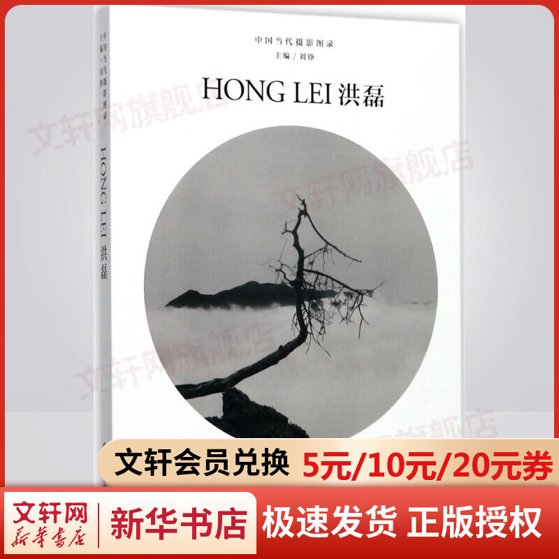 中国当代摄影图录洪磊