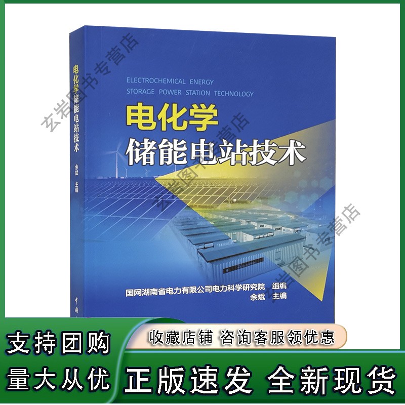n电化学储能电站技术