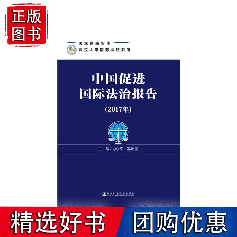 中国促进法治报告（2017年）