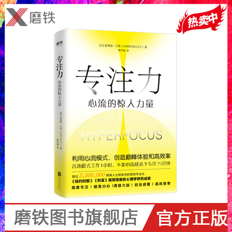 专注力 心流的惊人力量 克里斯·贝利著精英人士都在用的高效专注法 李开复推荐 励志