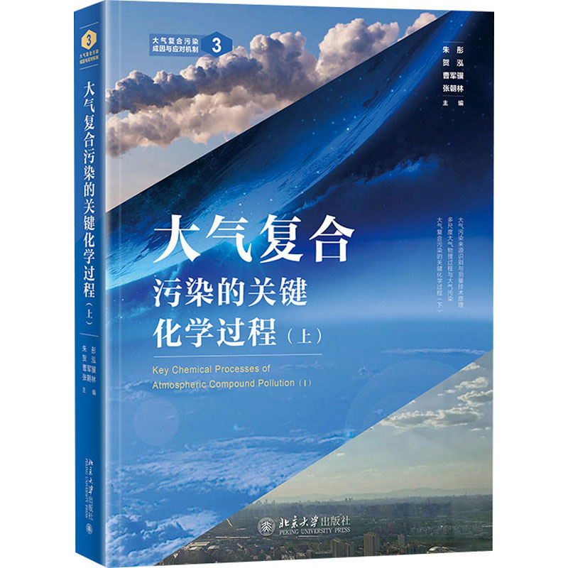 大气复合污染的关键化学过程(上) 图书