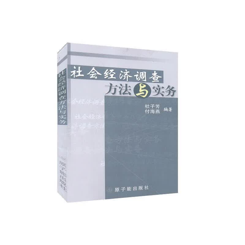 社会经济调查方法与实务