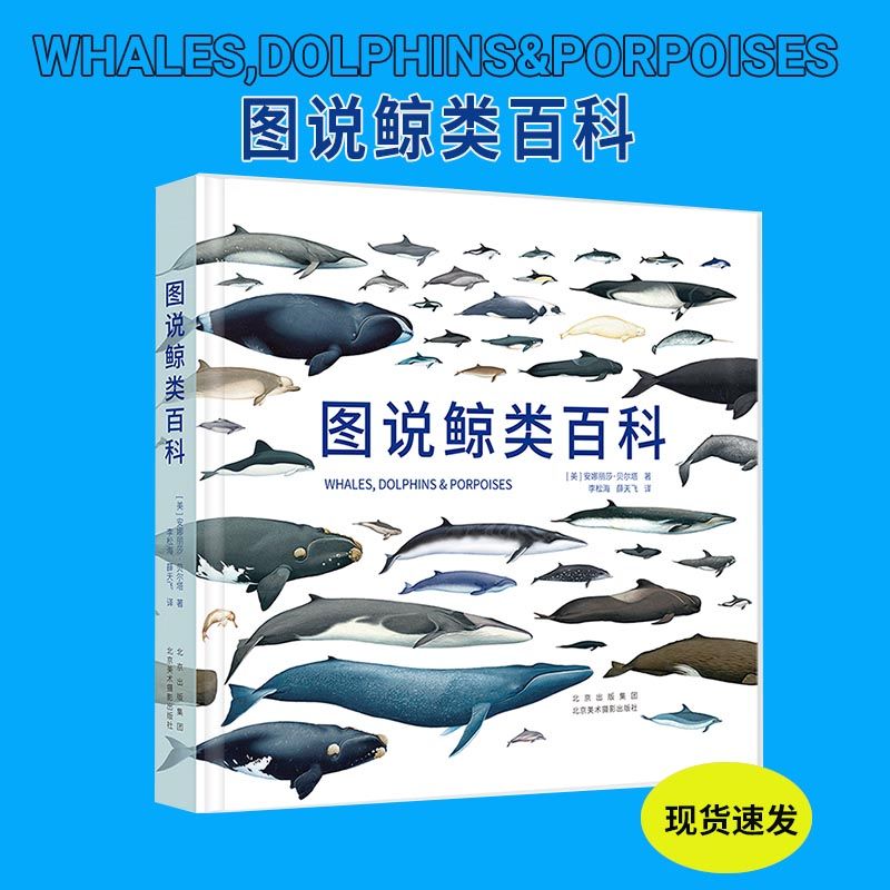 设计青年好书推荐 图说鲸类百科 珍稀濒危海洋鲸类少儿百科全书