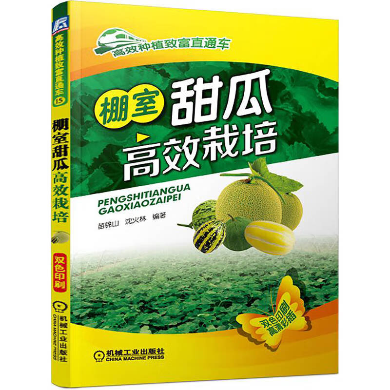 棚室甜瓜高效栽培