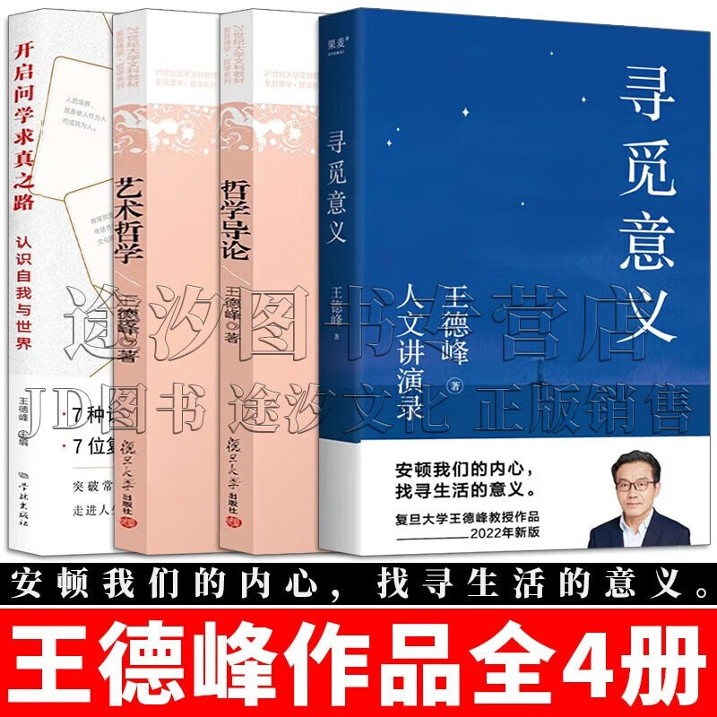 王德峰作品 寻觅意义/哲学导论/艺术哲学/开启问学求真之路:认识自我与世界 王德峰的书 全套4册