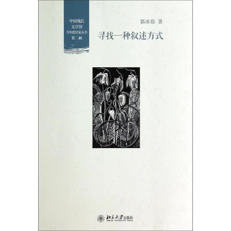 寻找一种叙述方式 郭冰茹 北京大学出版社