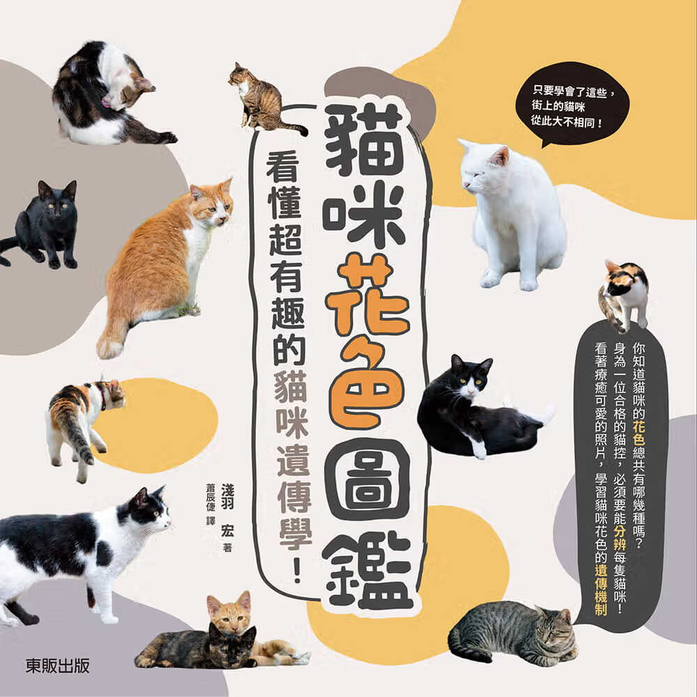 现货 原版进口书 浅羽宏猫咪花色图鉴：看懂*有趣的猫咪遗传学！台湾东贩台版书籍 图书