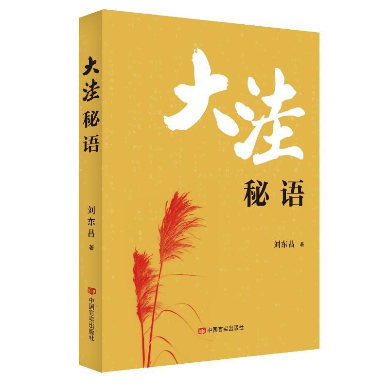 大洼秘语刘东昌中国言实出版社9787517139423 小说书籍