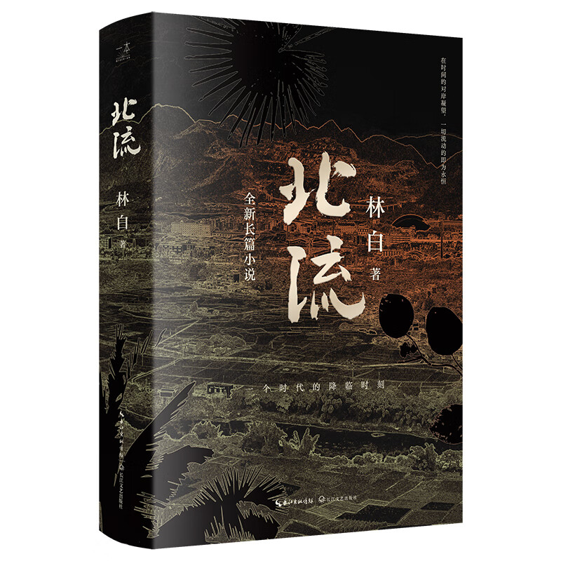北流：华语文学传媒大奖、老舍文学奖得主林白沉潜八年，六十万字长篇巨著。