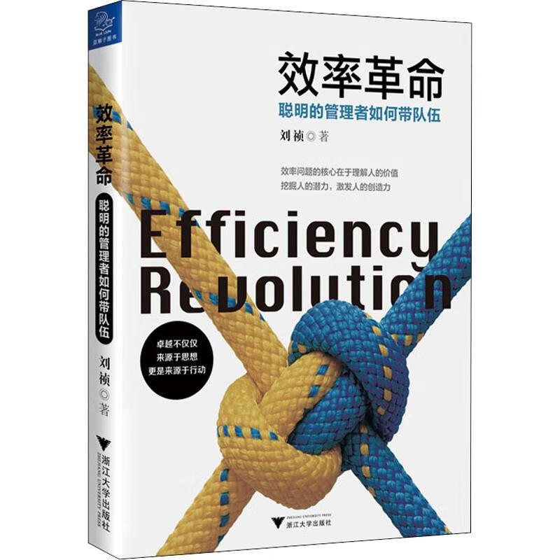 效率 刘祯著 9787308187381