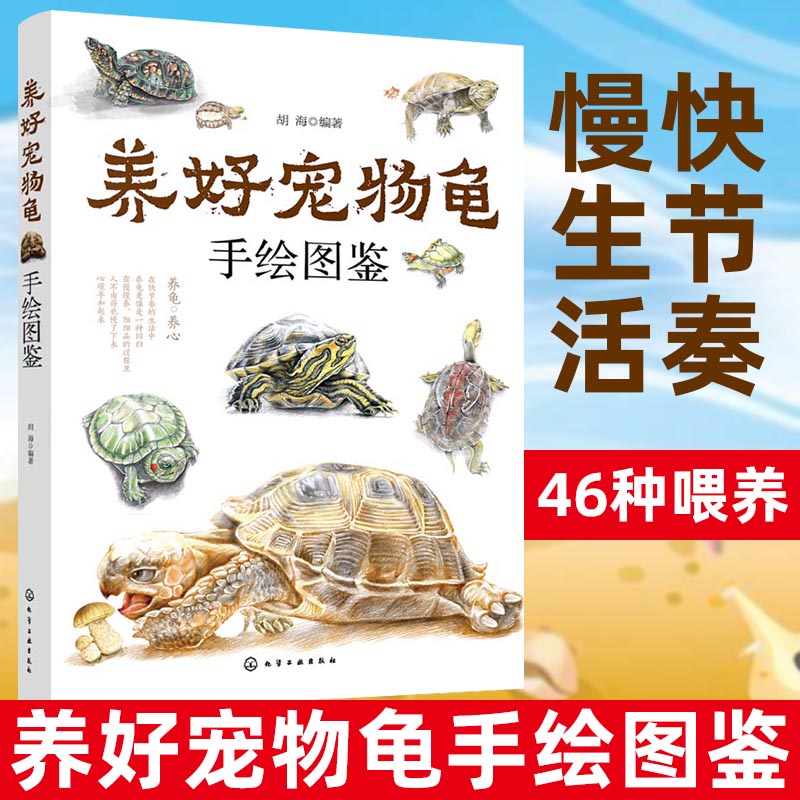 养好宠物龟手绘图鉴乌龟喂养方法乌龟疾病诊断治疗技术养殖技术书水龟半水龟陆龟养殖书宠物龟饲养技