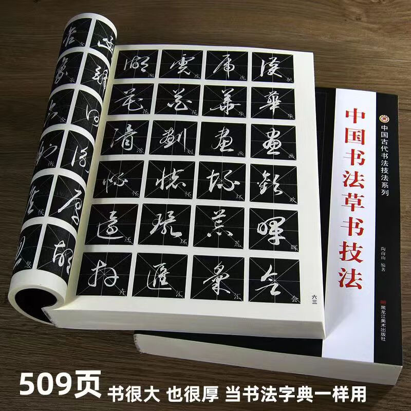 中国书法草书技法 初学者练字字帖教程 标准行草毛笔书法字帖字典 临摹王羲之成人草书毛笔字帖 董其昌赵孟頫草书千字文 草书入门毛笔字帖 邓散木著草书口诀 【加厚版 509页】中国书法草书技法