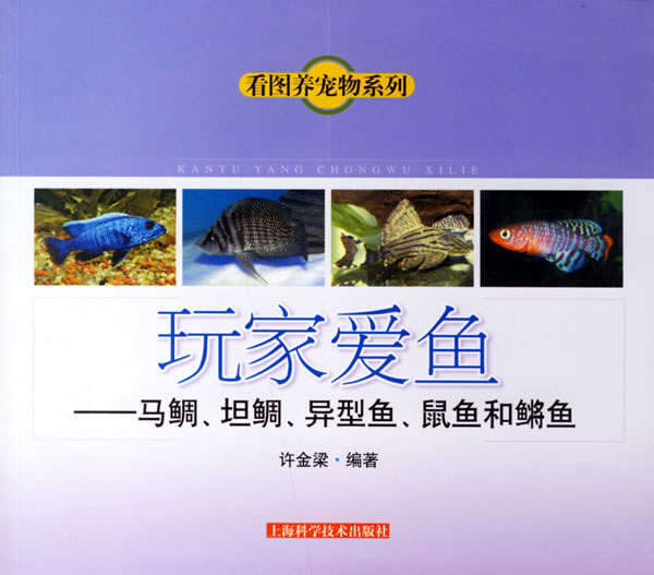 玩家爱鱼—马鲷、坦鲷、异型鱼、鼠鱼和鳉鱼