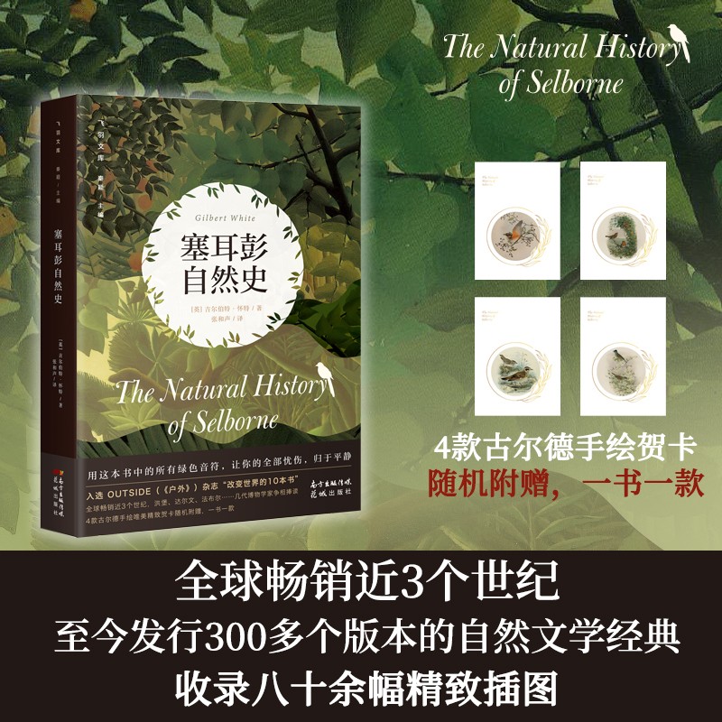 塞耳彭自然史 洪堡达尔文法布尔等争相捧读自然文学随笔科普读物吉尔伯特怀特著张和声译花城出版社书籍