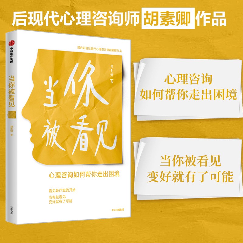 当你被看见 心理咨询如何帮你走出困境 胡素卿 著 把心理咨询师带回家系列 心理情感困惑 中信出版社
