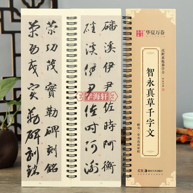 学海轩 智永真草千字文全文收录近距离临摹字卡书法示范活页字卡放大版真草毛笔字帖初学者临摹范本楷书草书高清对照本
