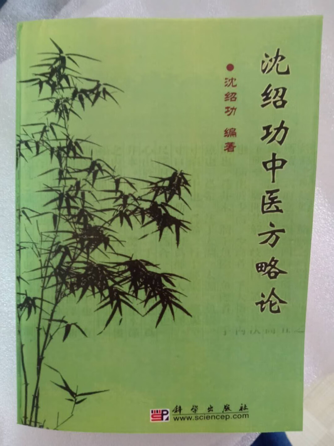 沈绍功中医方略论
