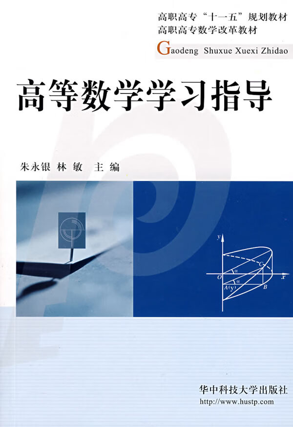 高等数学学习指导 朱永银,林敏主编【书】