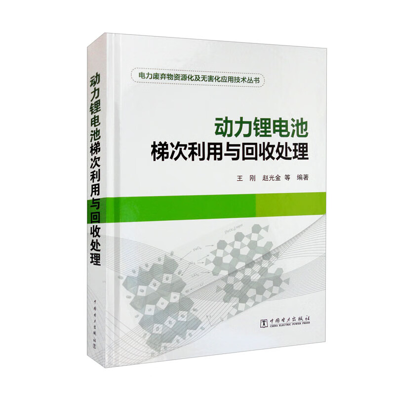 电力废弃物资源化及无害应用技术丛书：动力锂电池梯次利用与回收处理