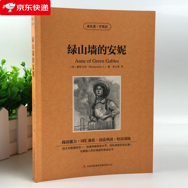读名著,学英语--绿山墙的安妮 英文原版中文版 英汉对照 书籍中英文双语世界名著小说