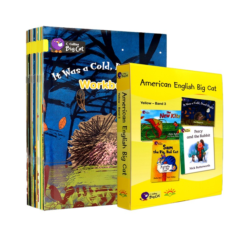 分级阅读美版柯林斯大猫系列Collins American English Big Cat 1级 2级 3级 4级 5级 6级 7级 学生书绘本 练习册 Big Cat 3级（分级阅读19本+练习册