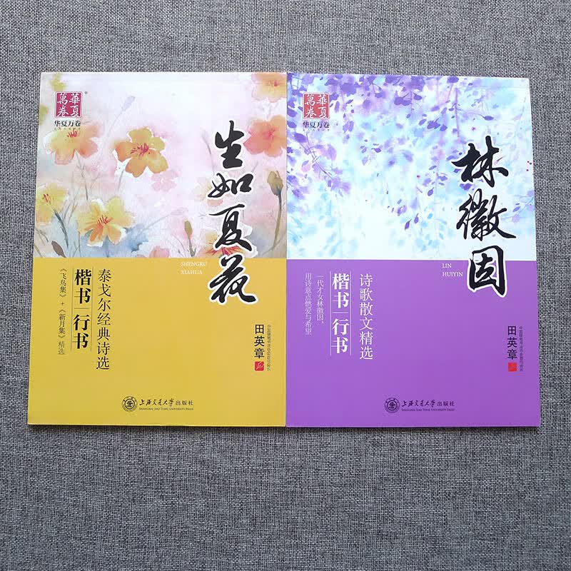 字帖唐诗宋词名家散文楷书入门速成技法教程笔画偏旁间架结构常用7000字控笔训练田英章卢中南吴玉生正楷行书行楷钢笔书法 [生如夏花+林徽因](楷书行书)