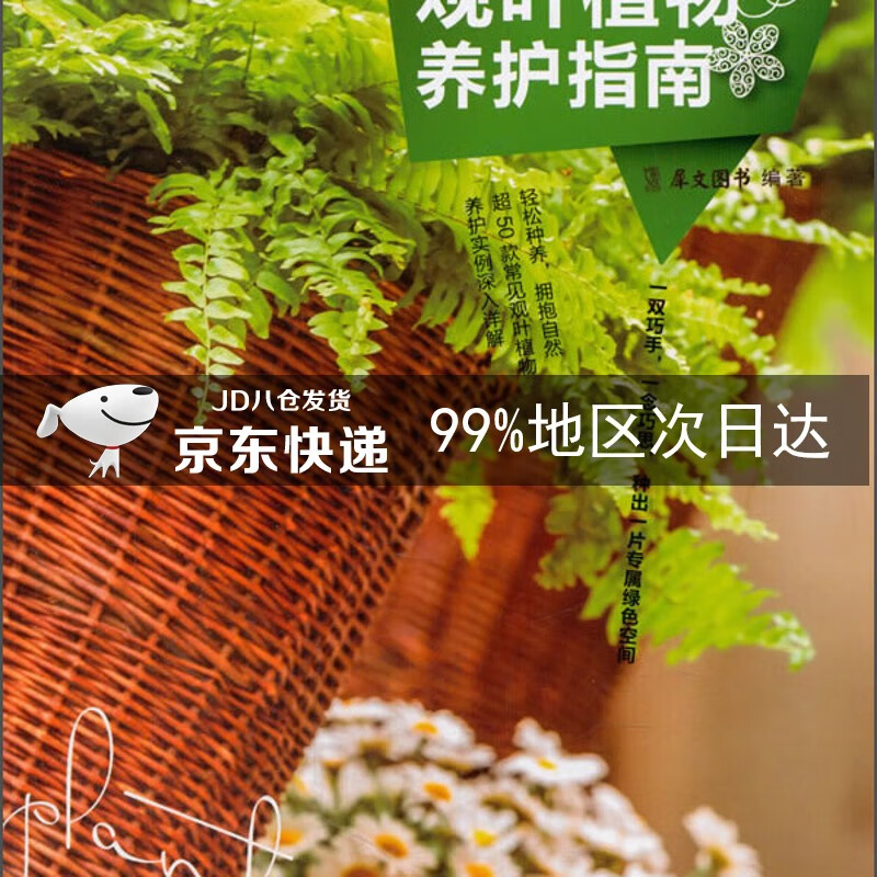 观叶植物养护指南