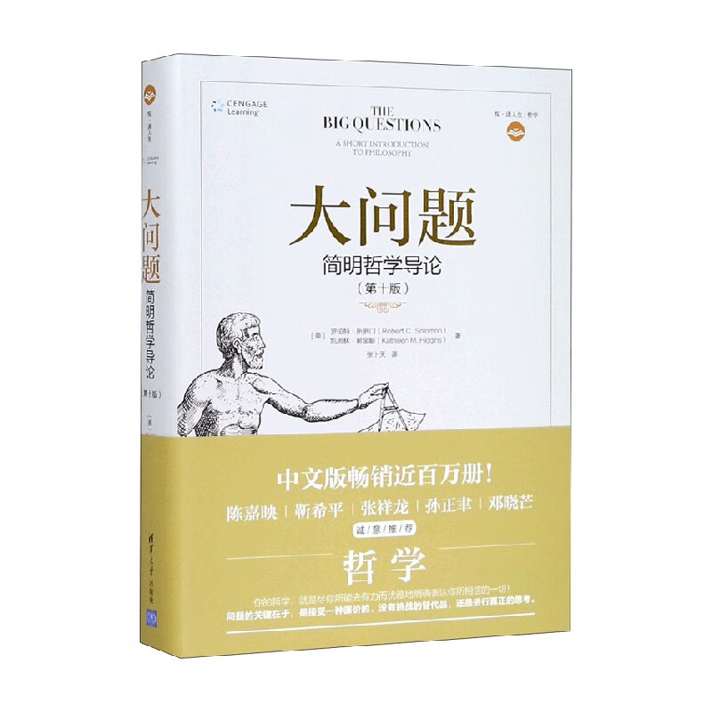 包邮 大问题 简明哲学导论 第10版 罗伯特·所罗门 著 哲学
