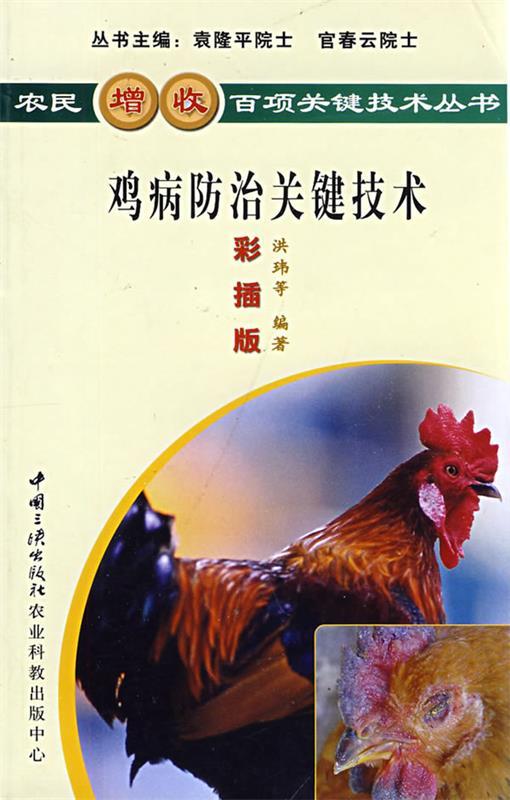 鸡病防治关键技术 洪玮,李立虎著