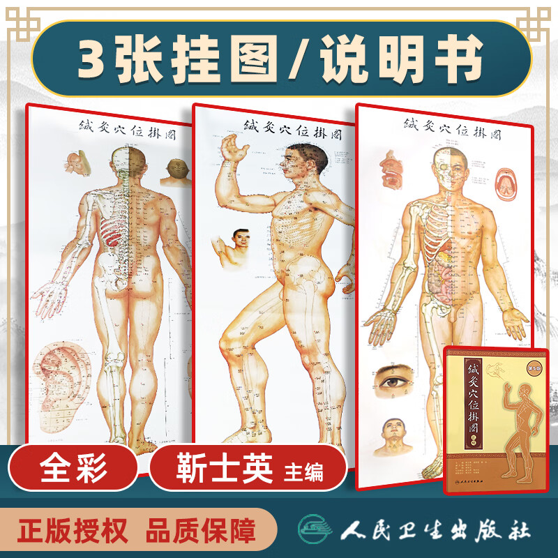 【1m*0.5m】3张 针灸穴位挂图全彩彩图版 正面侧面背面三张全开本耳穴足穴 靳士英人体穴位中医学