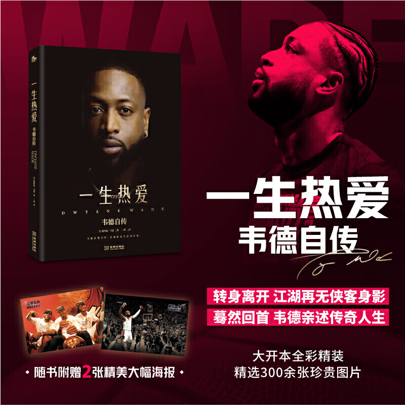 一生热爱：韦德自传