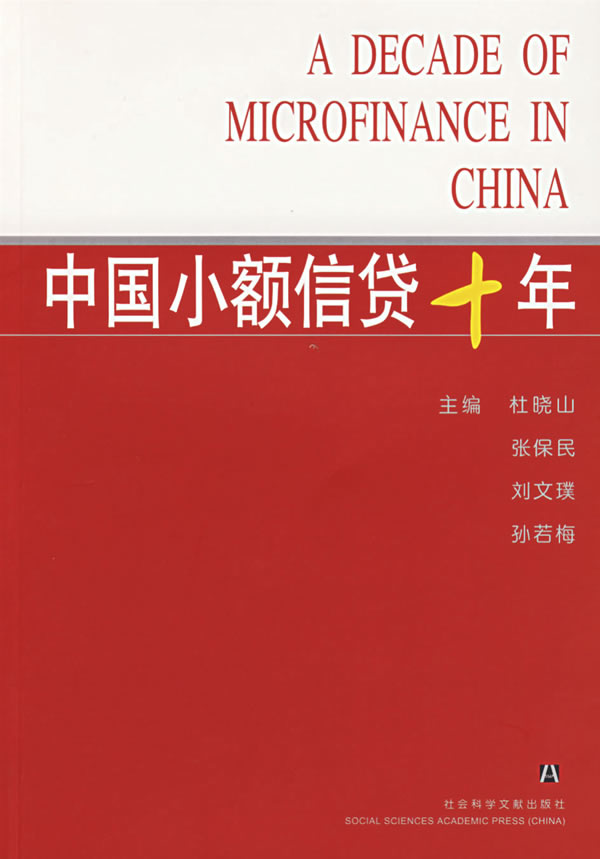 中国小额信贷十年