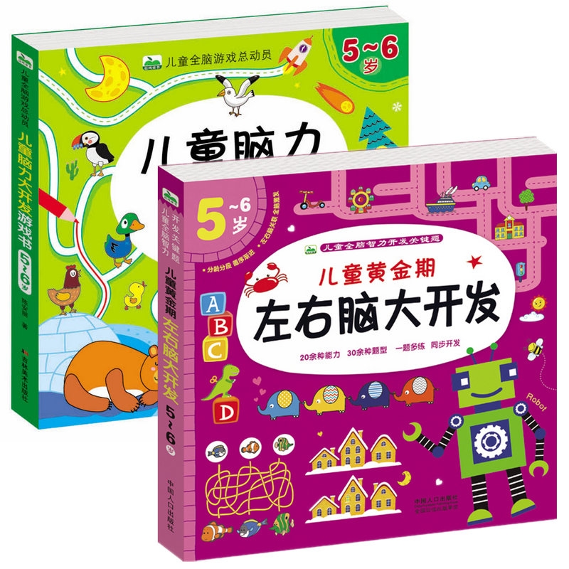 五到六岁左右脑大开发益智读物 5岁儿童智力开发书籍5-6岁全脑思维训练脑力开发游戏书五岁孩子语言潜能数理能力培养逻辑思维训练早教图书