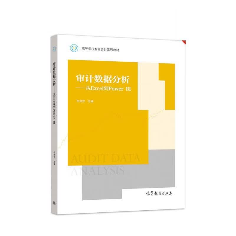 审计数据分析—从Excel到Power BI