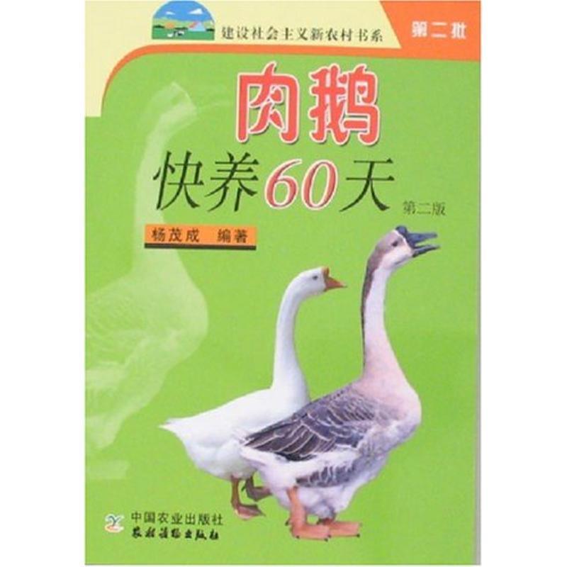 肉鹅快养60天 杨茂成