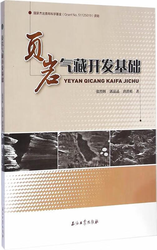 页岩气藏开发基础