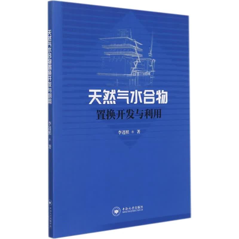 天然气水合物置换开发与利用 图书