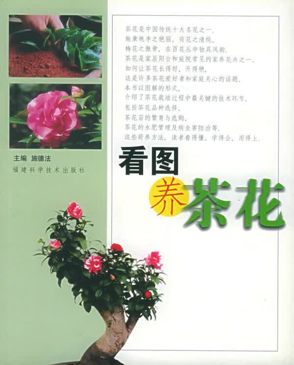 看图养茶花 施德法 主编