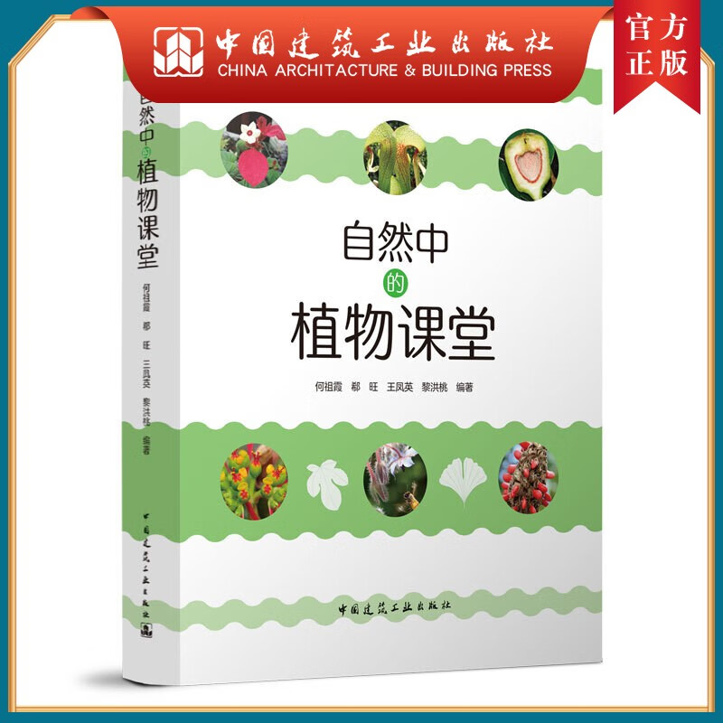 建工社 自然中的植物课堂