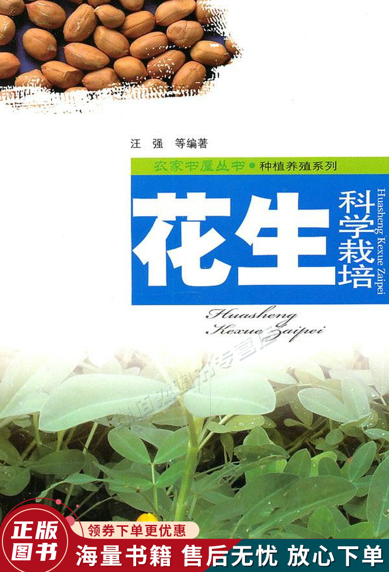 花生科学栽培