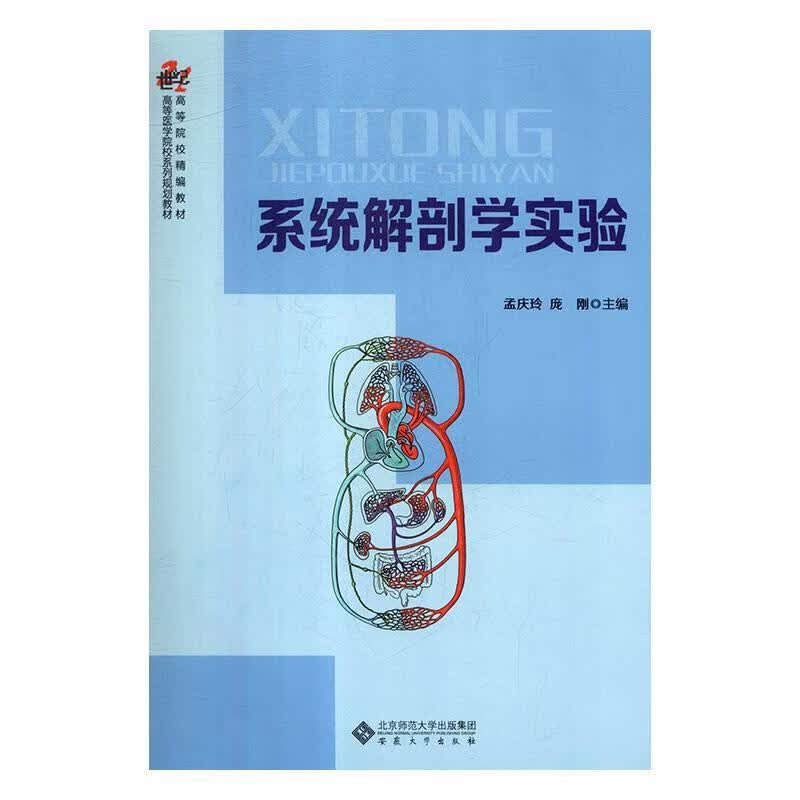 系统解剖学实验