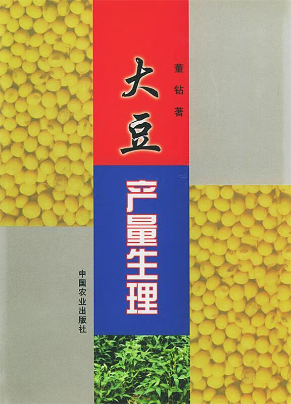 大豆产量生理