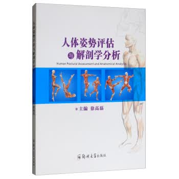 人体姿势评估与解剖学分析 徐高磊【书】