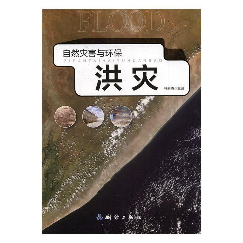 洪灾 林新杰 主编【书】