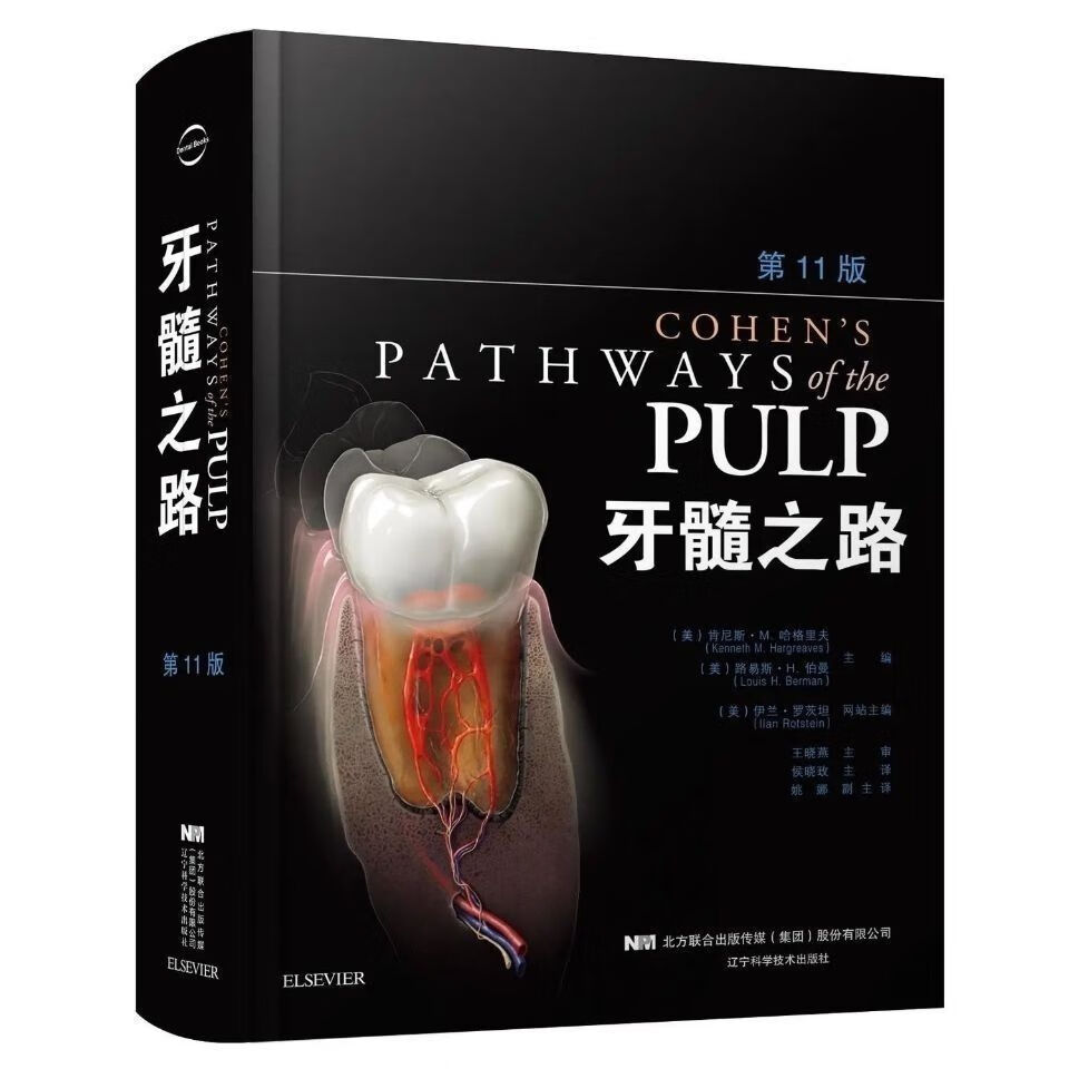牙髓之路 第十一版口腔