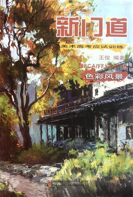 新门道-色彩风景 王俊编著