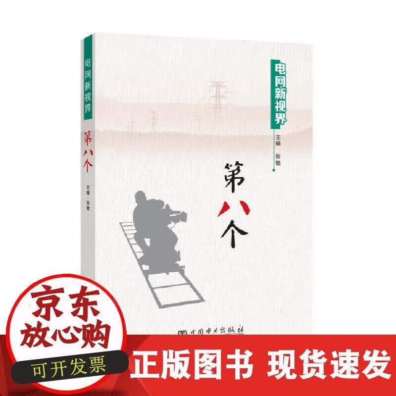 【现货】电网新视界 第八个